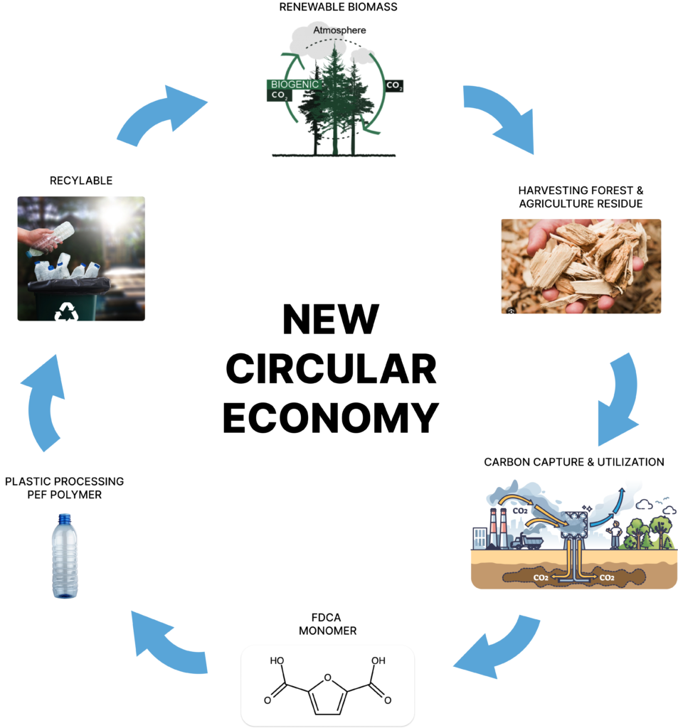 Sustainable FDCA & PEF - KSE Labs